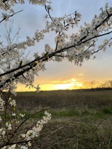 Navneberegner – Sazcha Storm – Certificeret Klassisk Numerolog